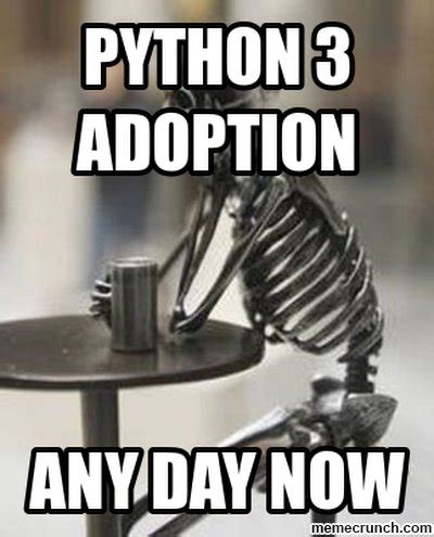 Python 3 Adoption