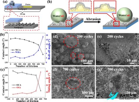 Nano Res 武汉理工大学谢毅教授 具有梯度和多级结构的高耐候超双疏防污闪涂层材料 行业新闻 纳米防水涂层 纳米防水资讯 纳米防水网 超