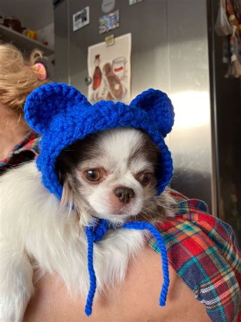 шапка с ушками Шапка Собаки Руки