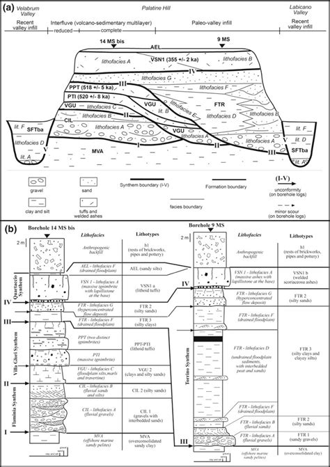 A Schematic Cross Section Showing The Stratigraphic Architecture And Download Scientific