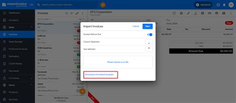 How To Create Bulk Invoices With The Import CSV Option Moon Invoice Easy Invoicing