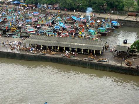 Sassoon Docks Mumbai Facts History Highlights Holidify