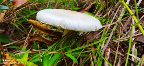 Rasmi Ranjan Rishi On Twitter Hows My Photography Siddswain Photoshop Redmiindia