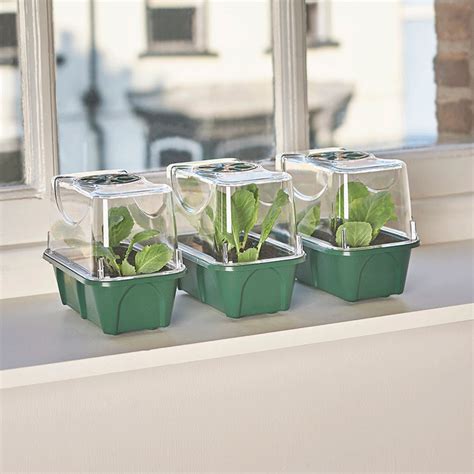 Mini High Top Propagator