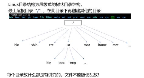Linux基本命令详解linux基本命令详解包括linux目录结构、基本操作类指令、文件目录类指令、时间日期类指令、压 掘金