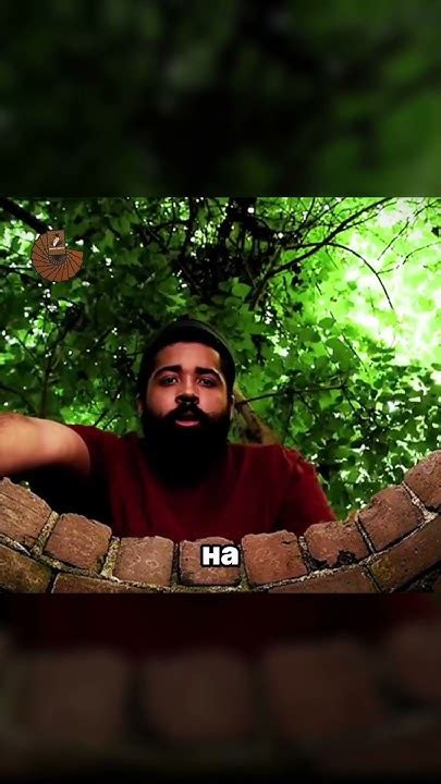 Отец сделал подарок дочери на дне колодца 😨 - YouTube