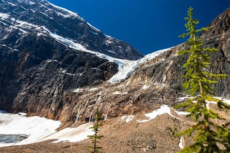 Premium Photo Angel Glacier Mount Edith Cavell In 2021 Summer Jasper National Park Beautiful