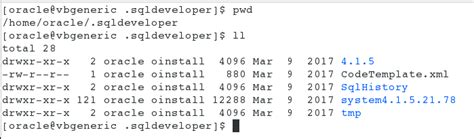 Moving Your Sql Developer Preferences Between Machines