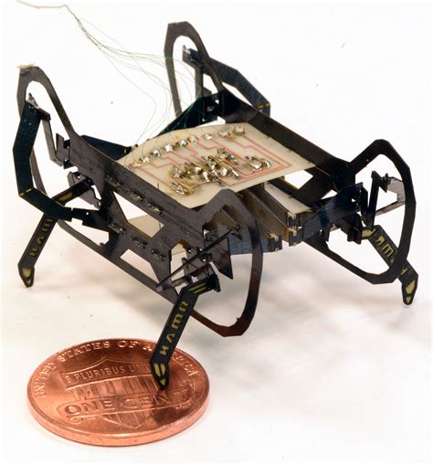 A Cockroach Inspired Robot Harvard John A Paulson School Of Engineering And Applied Sciences