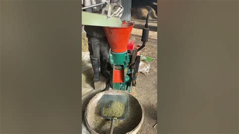 სანაშენე კურდღლების გამოკვება გრანულების საკვებით სანაშენე მრეწველობა Youtube