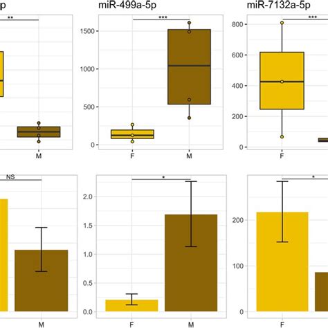 Relative Expression Profile Of Four Mirnas In Plasma Of European