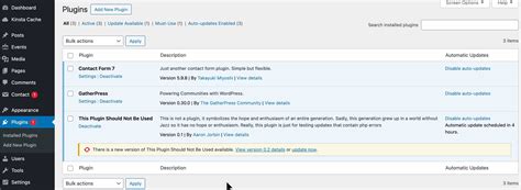 A Deep Dive Into Wordpress Automatic Updates