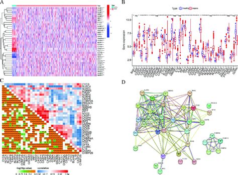 Expression Level And Correlation Of Pyroptosis Related Genes In Sepsis Download Scientific
