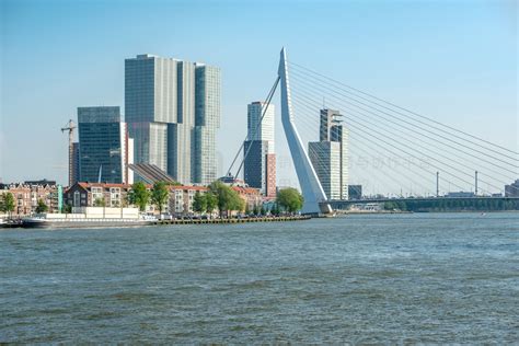 鹿特丹高清图片 鹿特丹市与伊拉斯姆斯桥梁和Nieuwe Maas莱茵河的都市风景地平线前面的荷兰南荷兰省 风景名胜免费下载 jpg格式