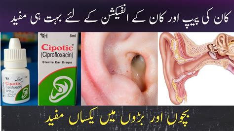 Ciprofloxacin Ear Drops Boots At Keira Jeanneret Blog