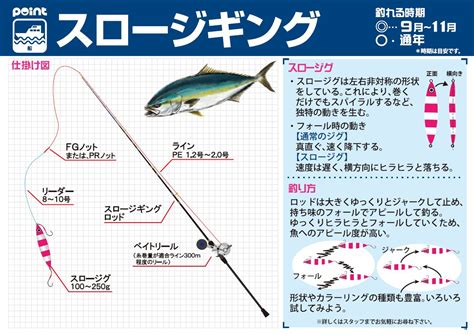釣りのポイント