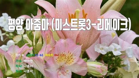 은성 반주기 평양아줌마미스트롯3 리메이크 배아현 Youtube