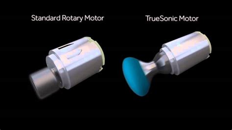 Standard Vibrator Rotary Motor Vs Revel Body TrueSonic Motor YouTube