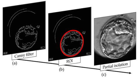 Applied Sciences Special Issue Computer Vision And Pattern Recognition Based On Deep Learning