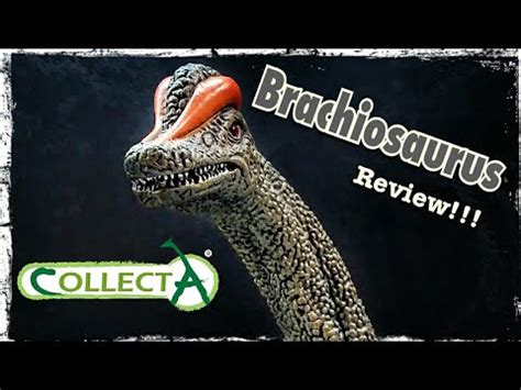 Collecta Deluxe Brachiosaurus Review Another Big Sauropod Figure