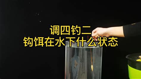 调四钓二、调二钓二，用洋辣子和拉饵作钓，钩饵在水下是什么状态 Youtube
