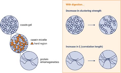 schematic representation of the trends in clustering strength and