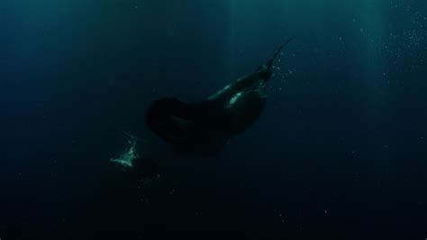 Image S01e04 On The Road 109 Ryn Donna Mermaids Swimming Siren