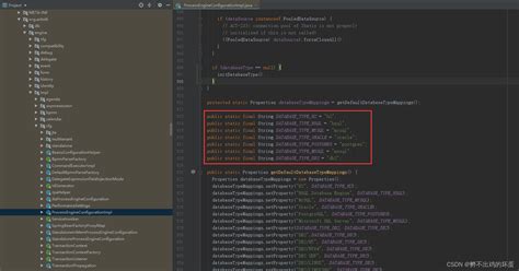 Activiti600兼容达梦数据库couldnt Deduct Database Type From Database Produc