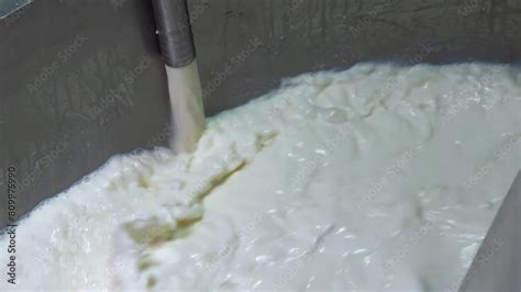 Milk Pasteurization And Safe Milk Production Zoom Out Shot Raw Milk