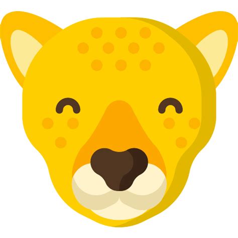 react app