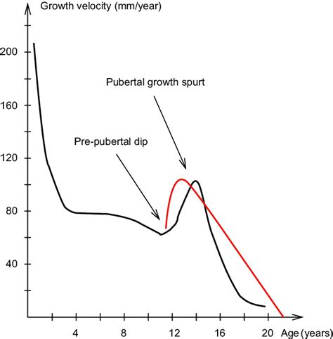 Overlap Of The Growth Velocity Curve Of Normal Human Growth With The Download Scientific