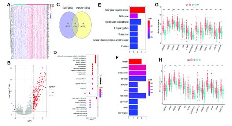 Identification Of Emt And Immune Related Genes And Functional Download Scientific Diagram