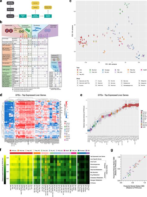 transcriptomic comparison reveals distinct liver specific molecular
