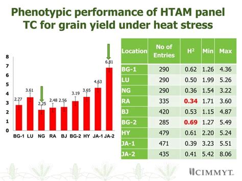 Heat Stress Tolerance In Tropical Maize Ppt