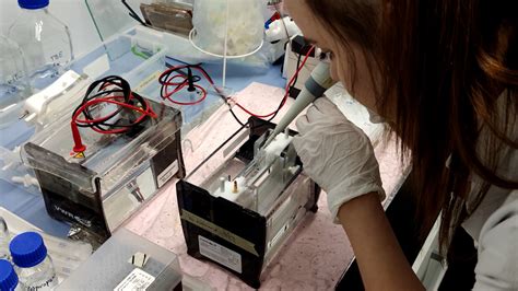 Video Ribo Seq In Bacteria A Sample Collection And Library Preparation Protocol For Ngs Sequencing