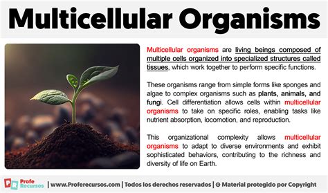 What Are Multicellular Organisms Definition Of Multicellular Organisms What Are Multicellular Organisms Definition Of Multicellular Organisms