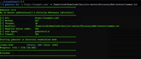 Gobuster Enumeration Tools 1 Gobuster By Youngersibling Medium