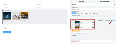 Check Box Field In WP Fluent Form WordPress Plugin