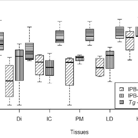 Ostertagia Ostertagi Life Cycle Transmission And Parasitic Stages