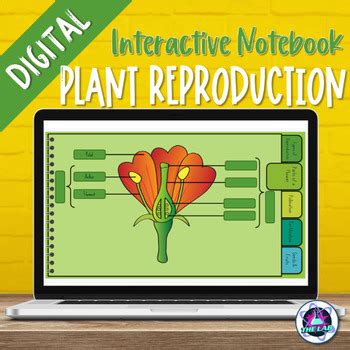 Plant Reproduction Digital Interactive Notebook By The Lab With Liezel Pienaar