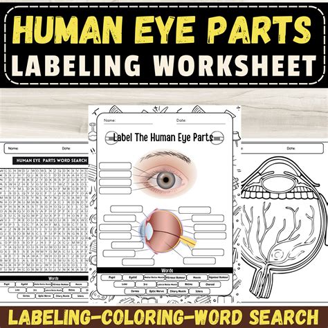 Journey Across The Cosmos Solar System Planets Research Project