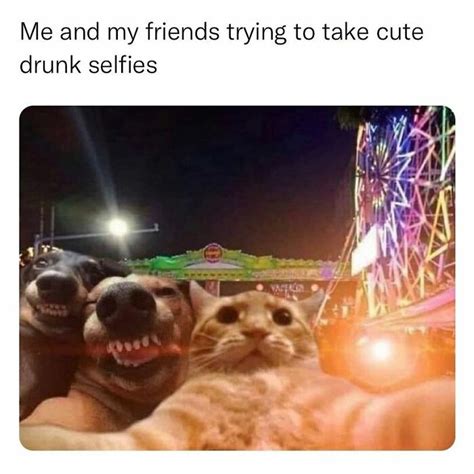 50 Relatable Memes That Range From Lighthearted To Ones That Hit Below