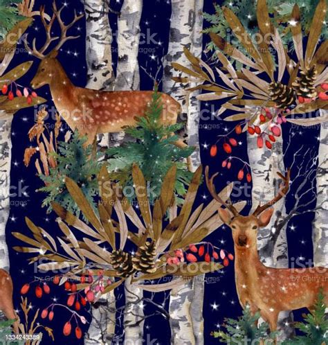 자작 나무와 전나무 나무의 배경에 숲에 서 사슴과 원활한 패턴 수채화로 그려진 가을 배경 0명에 대한 스톡 벡터 아트 및 기타 이미지 0명 가을 겨울 Istock