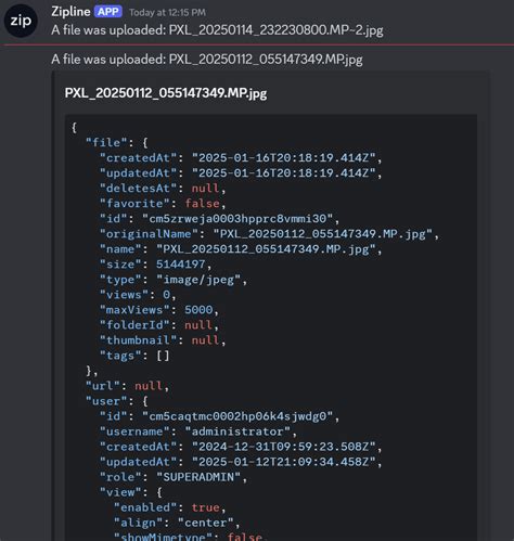 Discord Webhooks Docs Zipline
