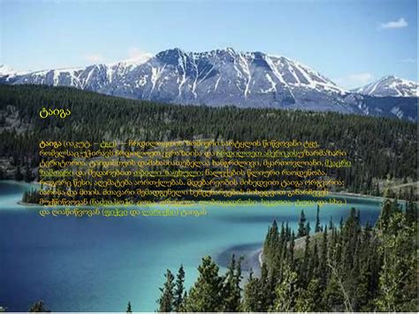 დედამიწის ბუნებრივი ზონები Pptx