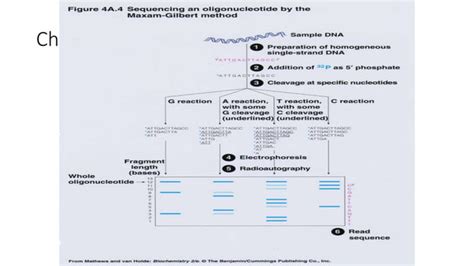 Dna Sequencing Techniques Pptx