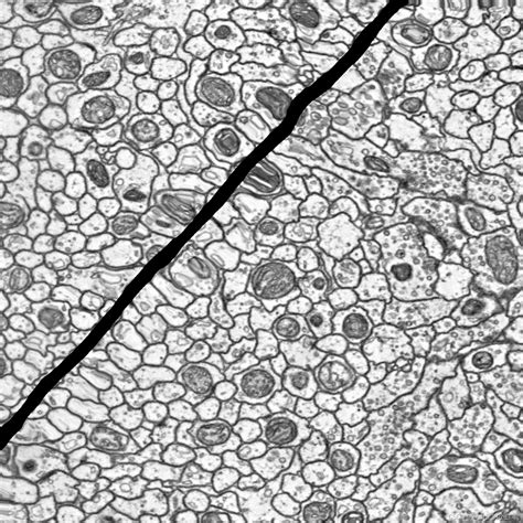 使用python和opencv中的calcopticalflowfarneback函数提取稠密光流并进行映射（warp） Csdn博客