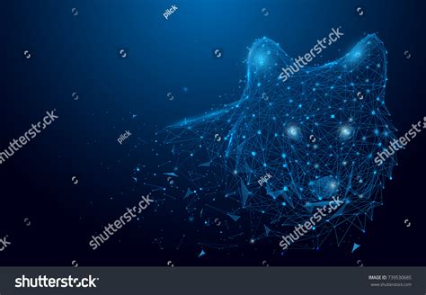 Wolf Lines Triangles Point Connecting Network Stock Vector Royalty Free 739530685 Shutterstock