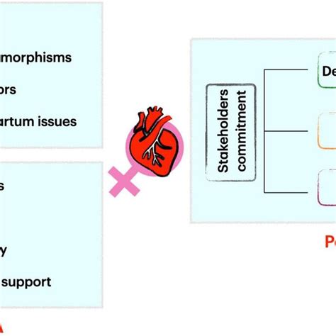 Factors Influencing Sex And Gender Related Cardio Oncology Issues Download Scientific Diagram