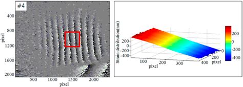 A Strain Distribution Sensing System For Bone Implant Interfaces Based